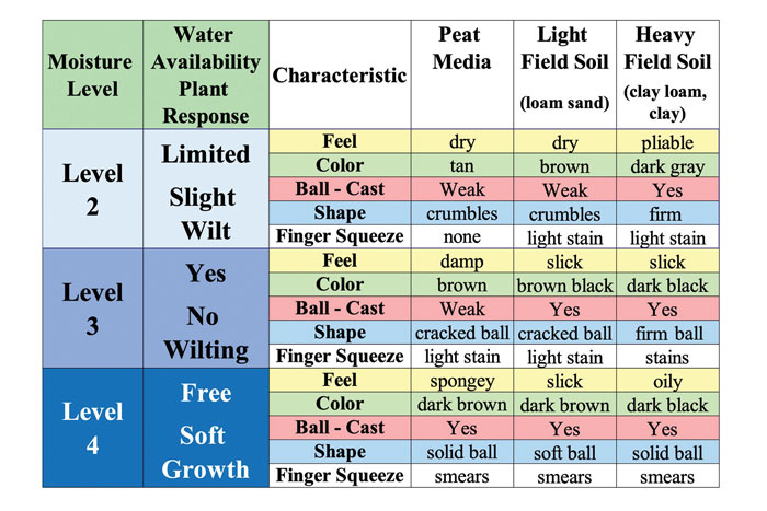 Training Your Team to Water Properly