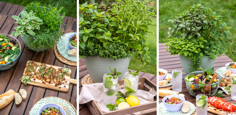 Creating Awe in the Outdoor Room